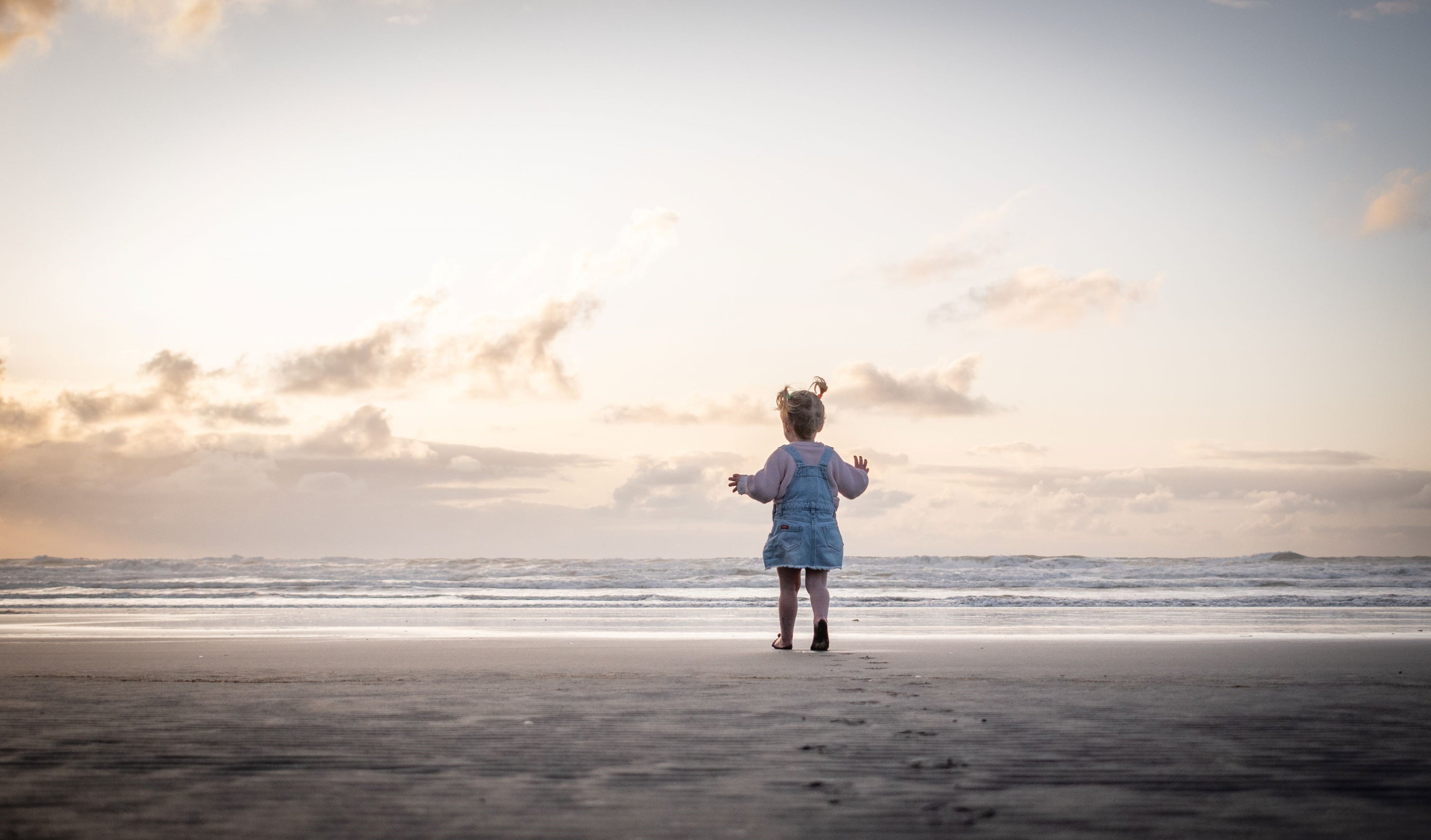 About Us – Orchard & Ocean