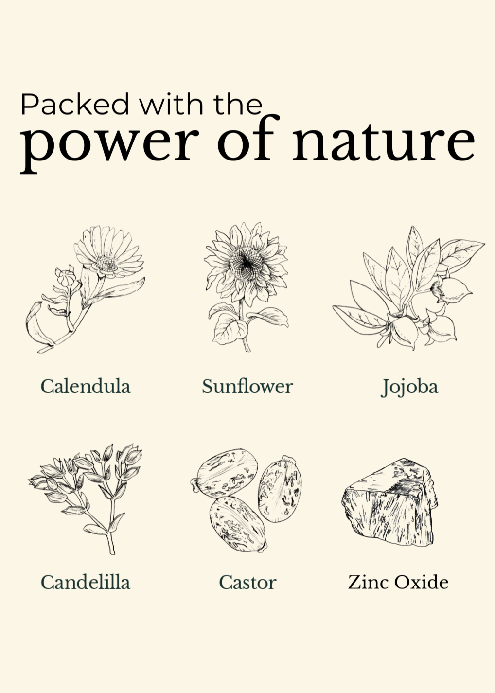 Mineral Sunscreen New Zealand – Orchard & Ocean